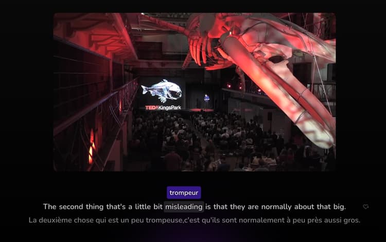 Trancy - Domine um novo idioma de maneira agradável